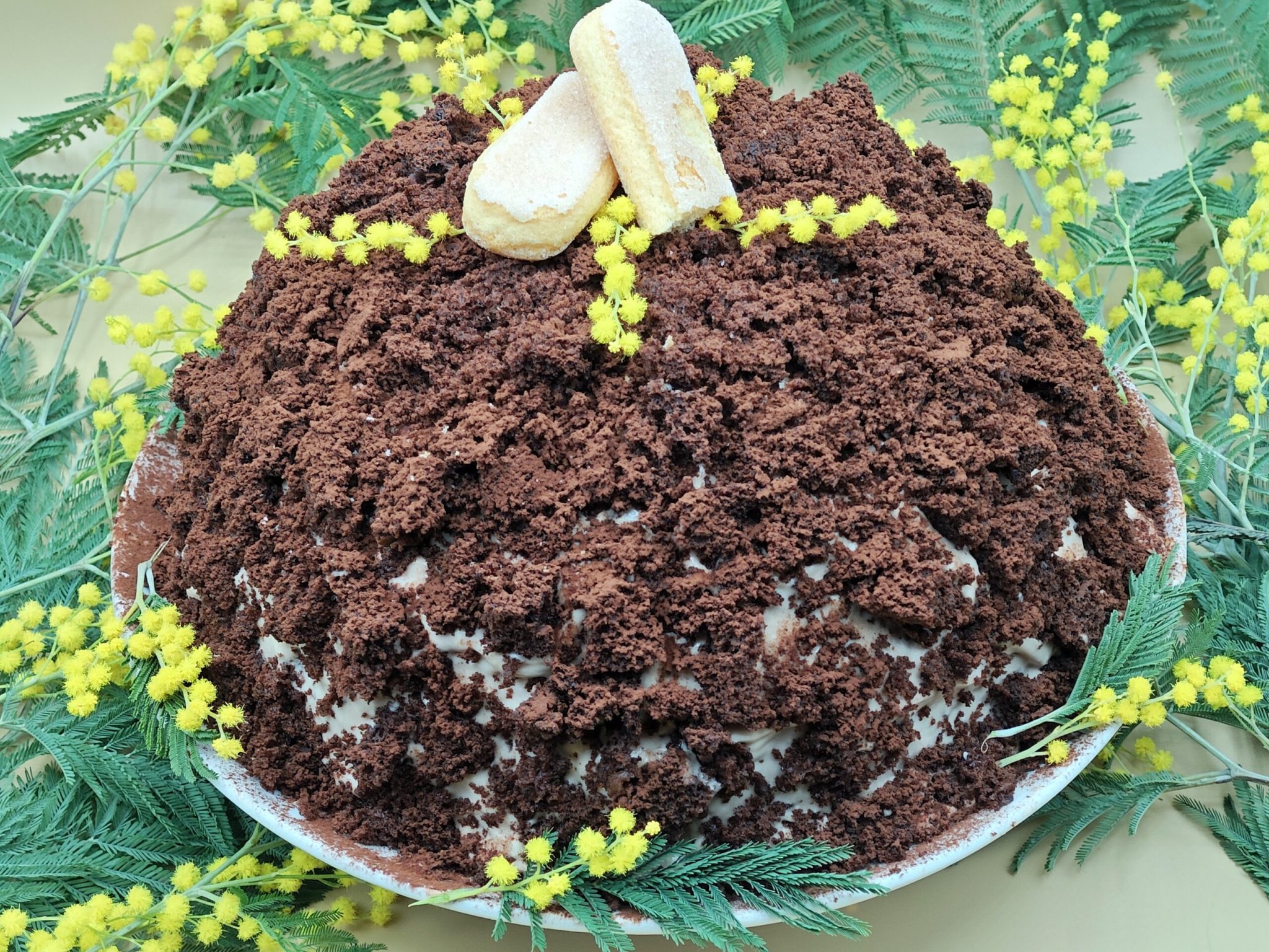 Mimosa Tiramisu Dome Cake - Delicious Recipes